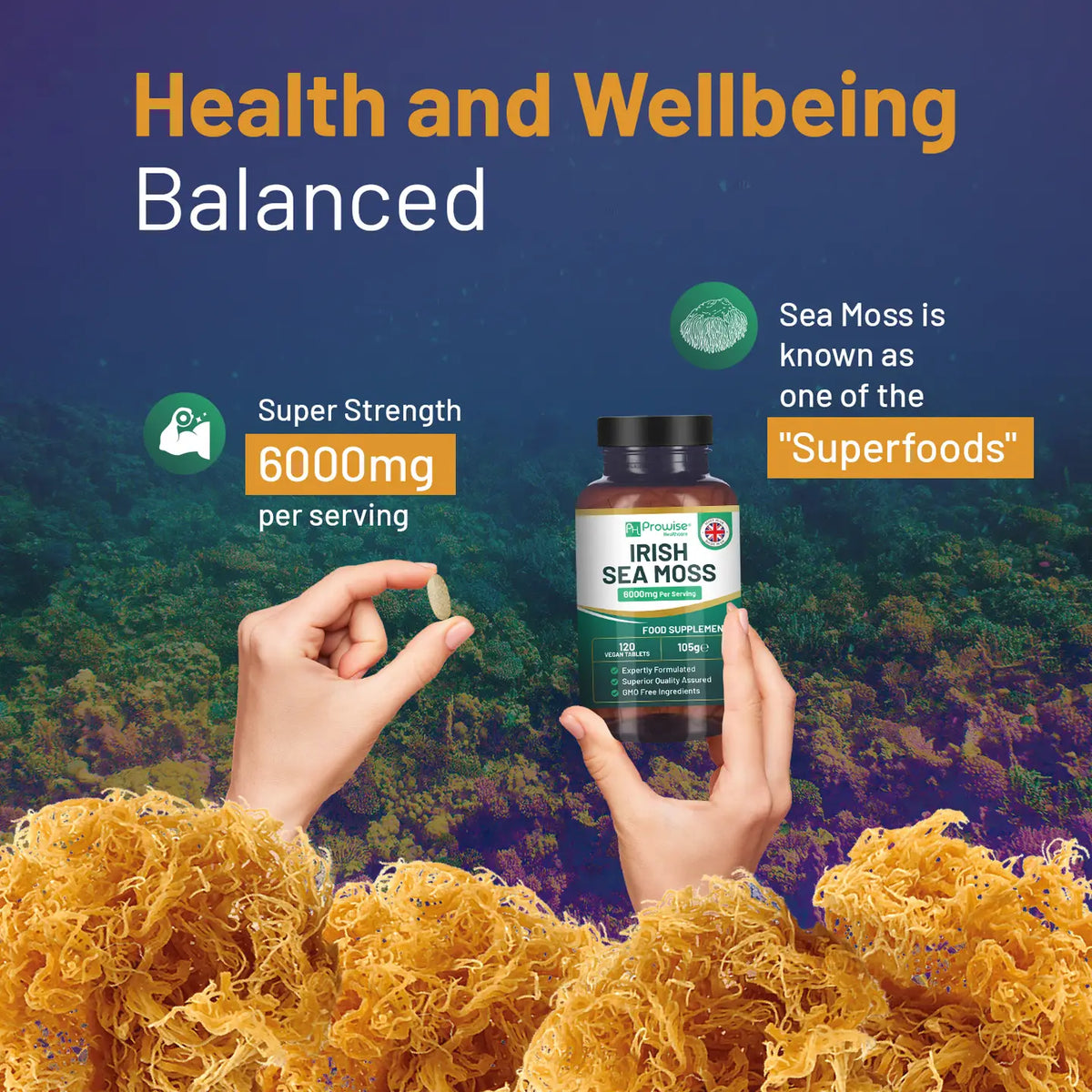 Irish Sea Moss Tablets High Strength 6000mg (120 tab) – sweetmood